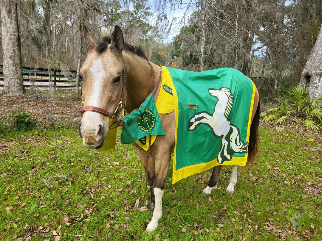 Warrior Horse Costume Medieval Barding Costume Equine Jousting ...