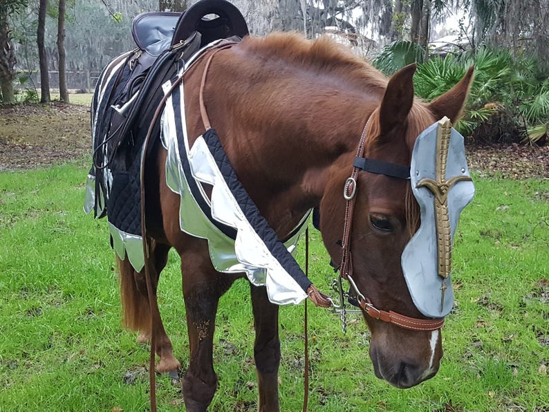 Roman Warrior Horse Chanfron Face Armor Medieval Equine - Etsy