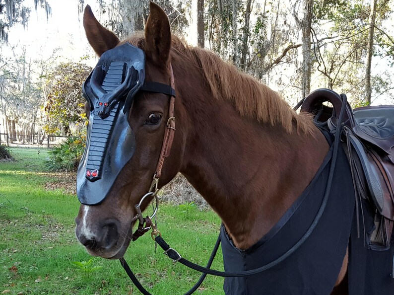 Dragon Warrior Horse Chanfron Face Armor Medieval Equine | Etsy Canada
