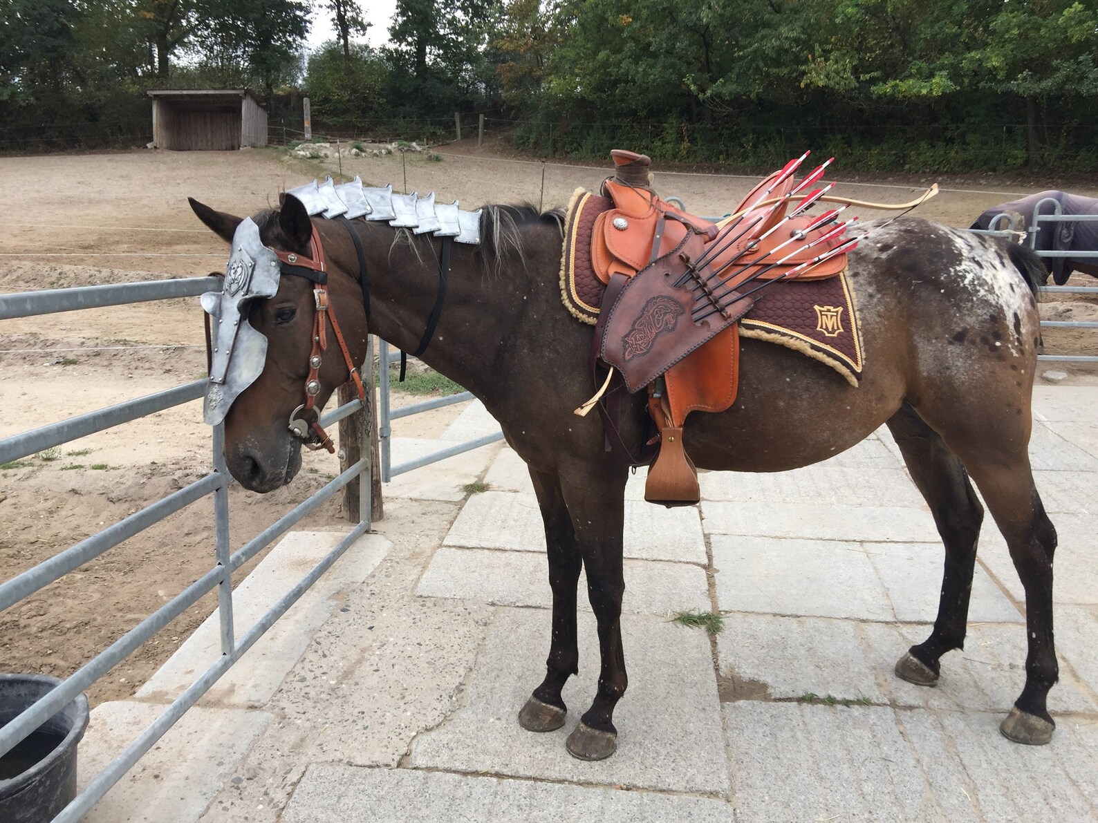 Coburg Chanfron Horse Face Armor in Aged Silver With Eye | Etsy