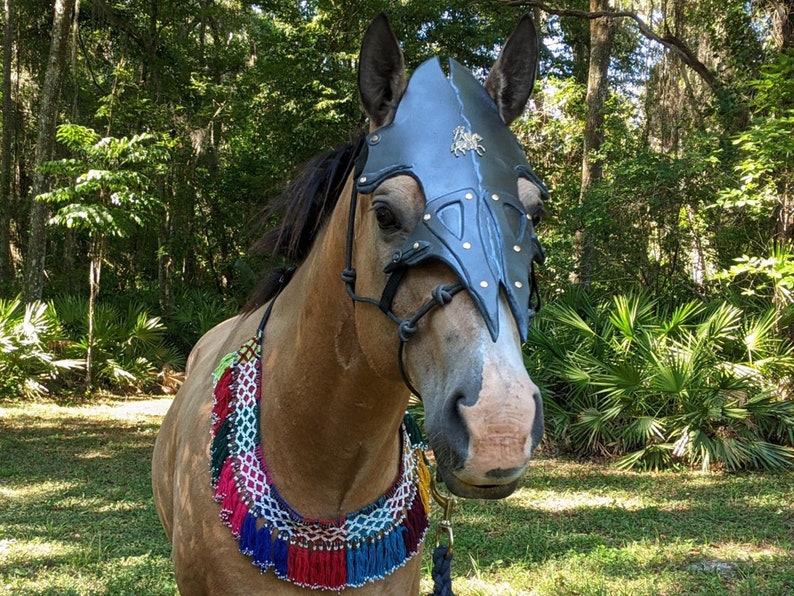 Chivalry Chanfron Horse Face Armor Medieval Equine Foam - Etsy