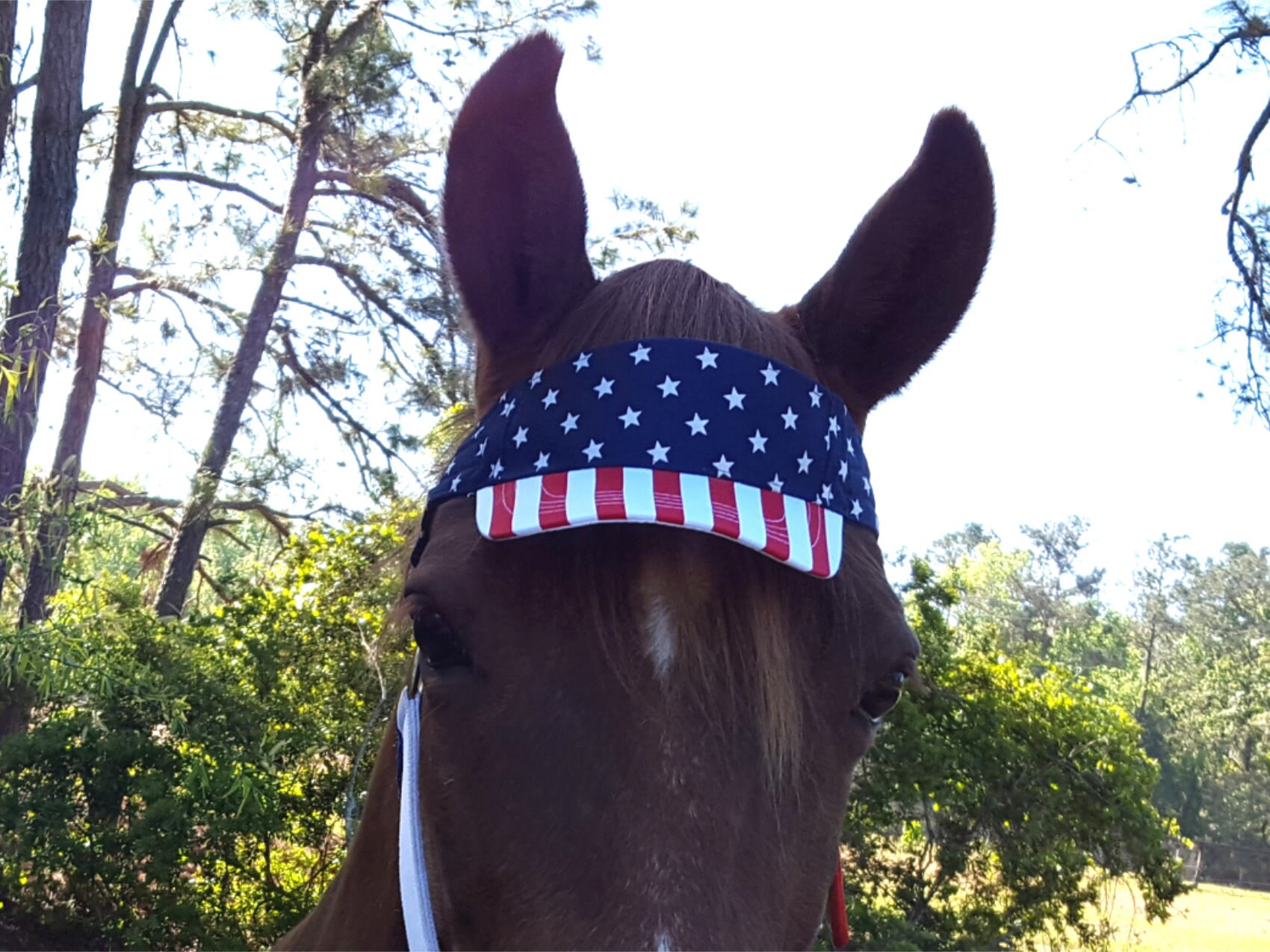 Patriotic Equine Visor Cap Red White Blue Horse Brow Band - Etsy