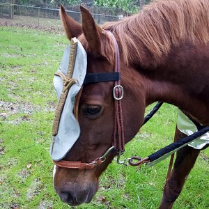 Roman Warrior Horse Chanfron Face Armor Medieval Equine Armor Barding ...