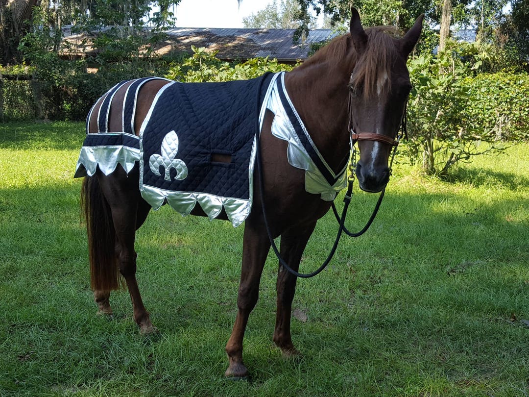 Destrier Horse Costume Medieval Barding Costume Equine Jousting ...