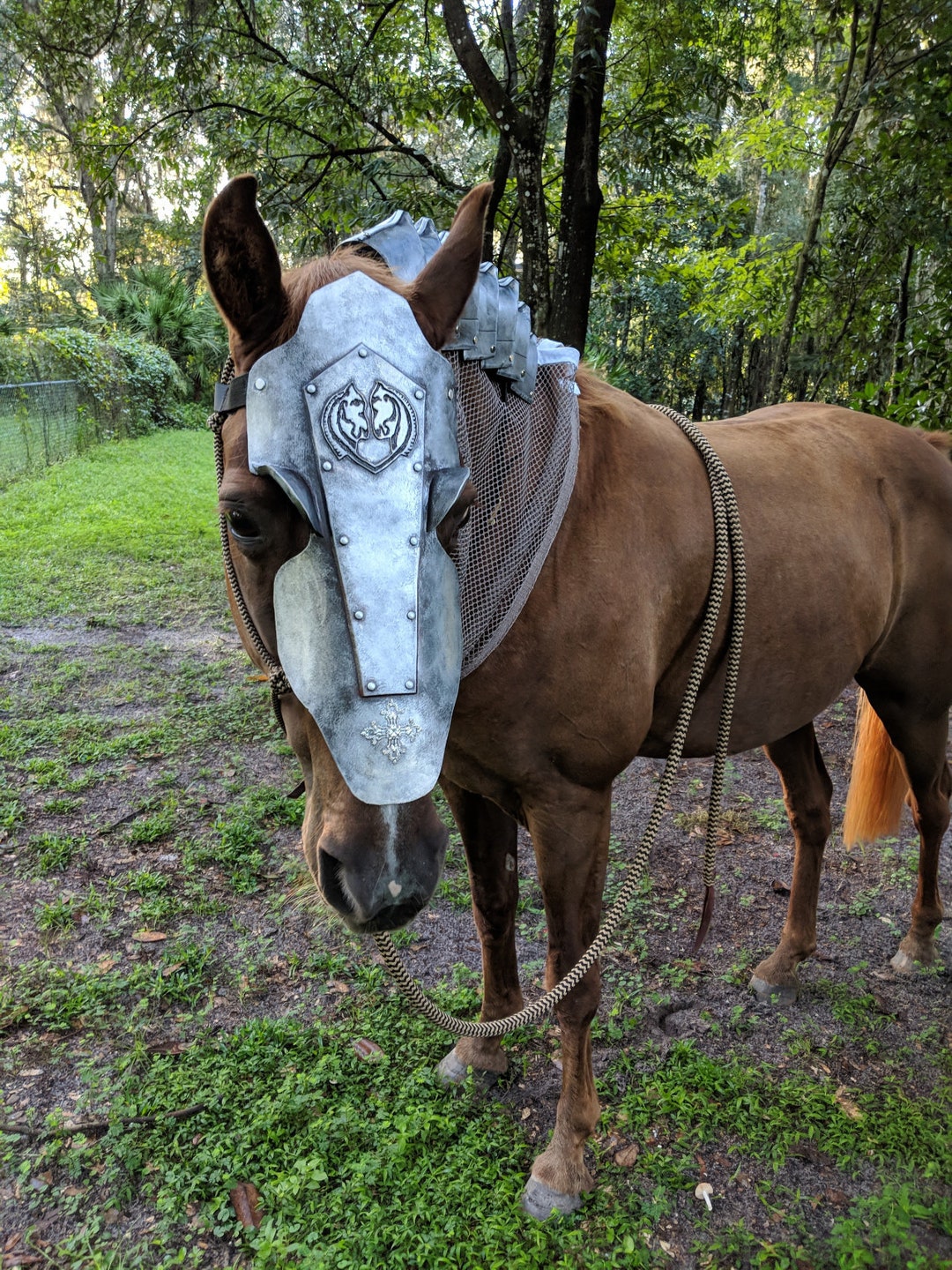Coburg Chanfron Horse Face Armor in Aged Silver With Eye Guards ...