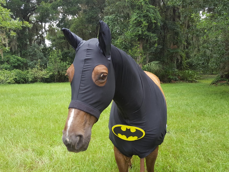Batman Equine Costume Superhero Outfit for Pony Horse or | Etsy