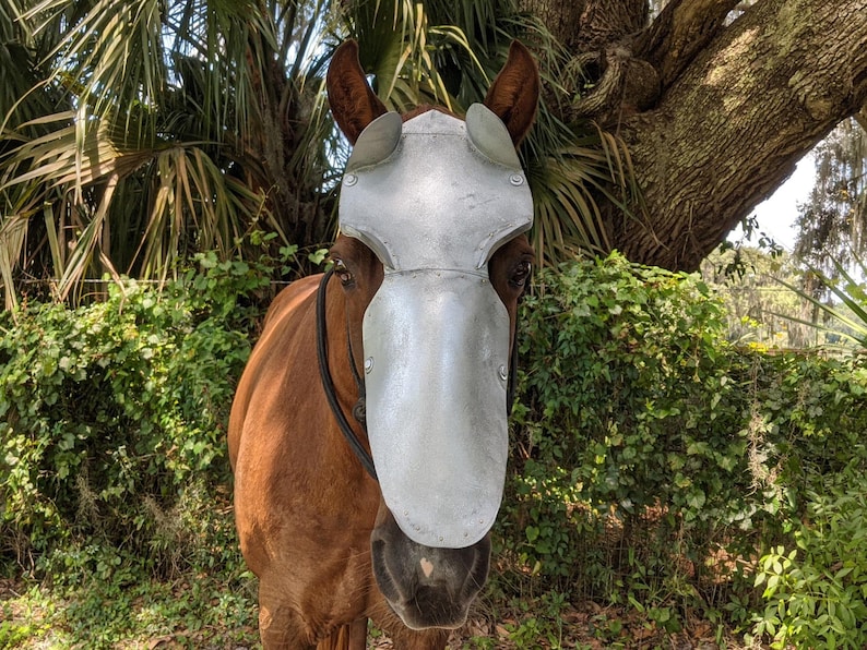 Joan of Arc Chanfron Horse Face Armor With Ear and Eye Guards | Etsy