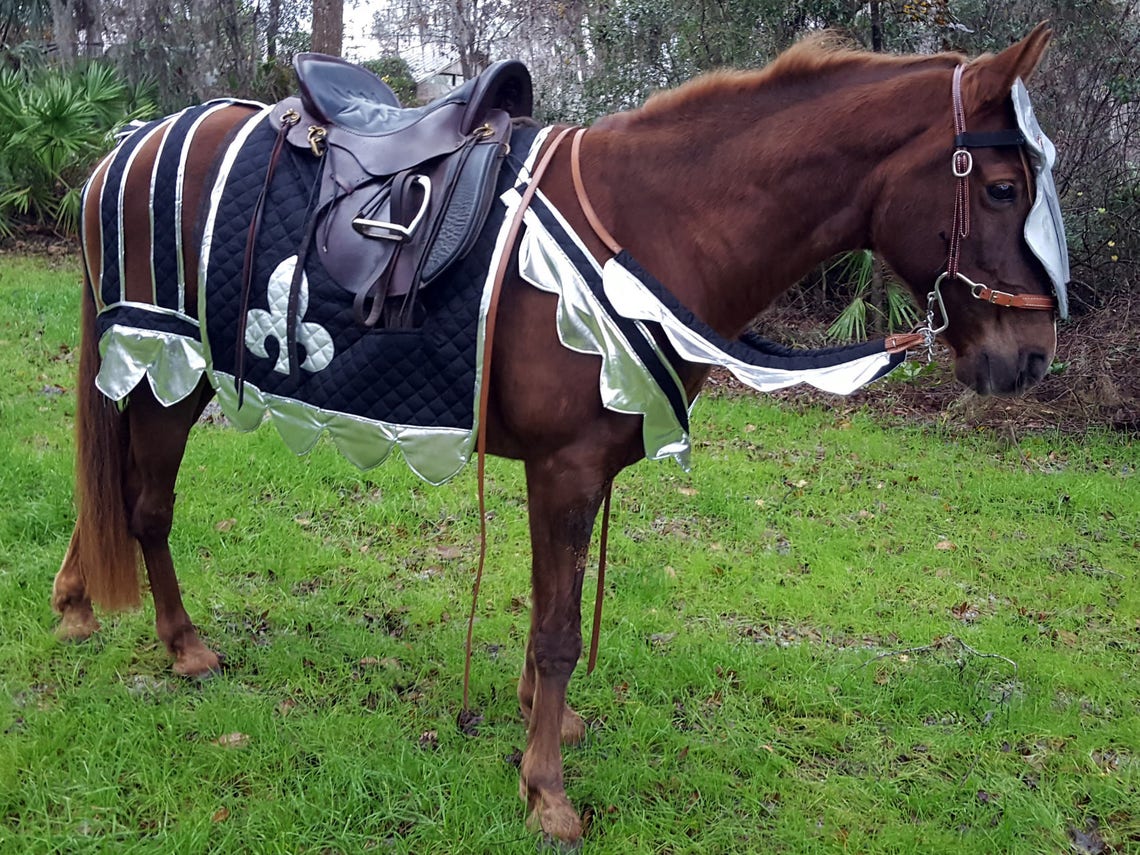 Celtic Warrior Horse Chanfron Face Armor in Silver Medieval - Etsy