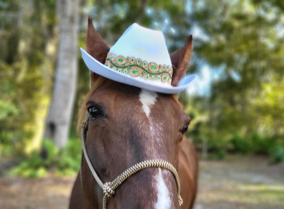 Emerald Bling White Cowboy Hat for Horse or Pony Cowboy Hat for Equines ...