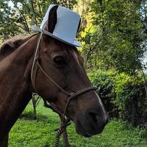 Top Hat for Horses in White, Black, Sky Blue, Royal Blue, Red, Caramel ...