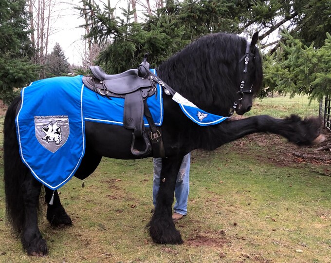 Dragon Hunter Horse Costume Medieval Barding Costume Equine Jousting ...