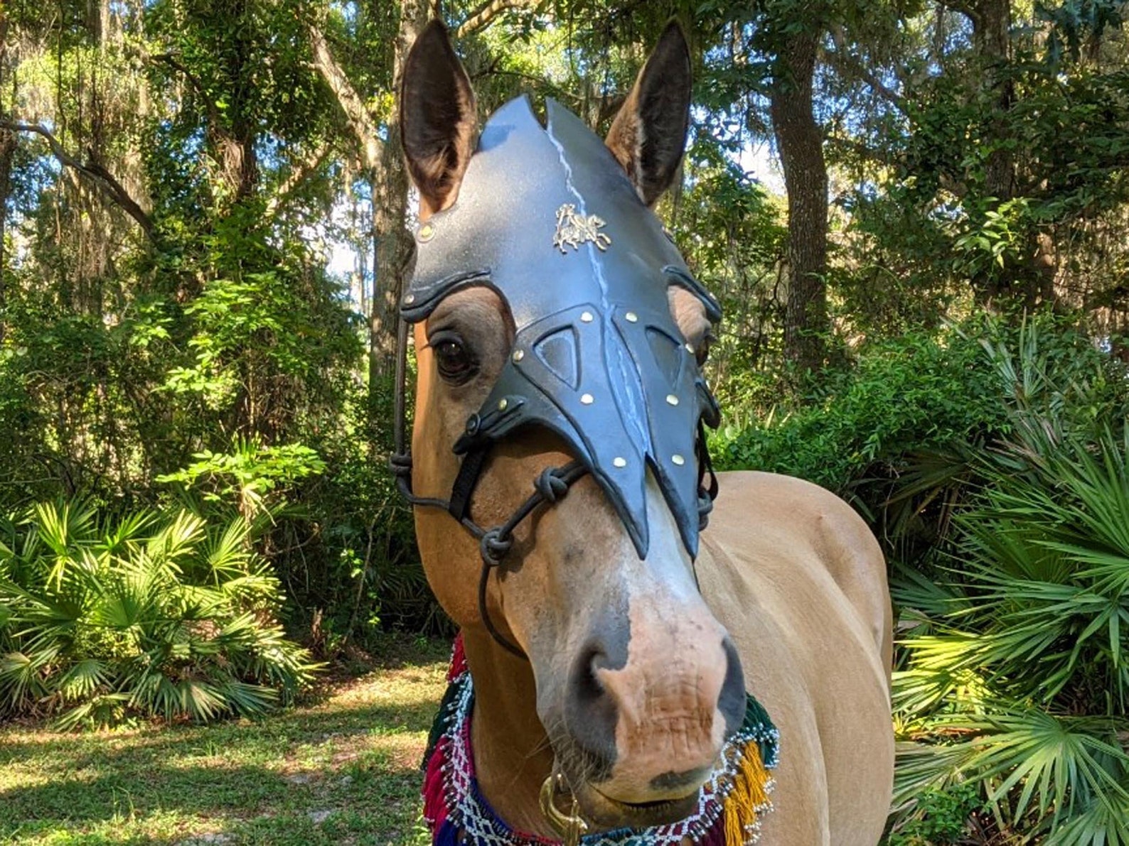 Chivalry Chanfron Horse Face Armor Medieval Equine Foam - Etsy