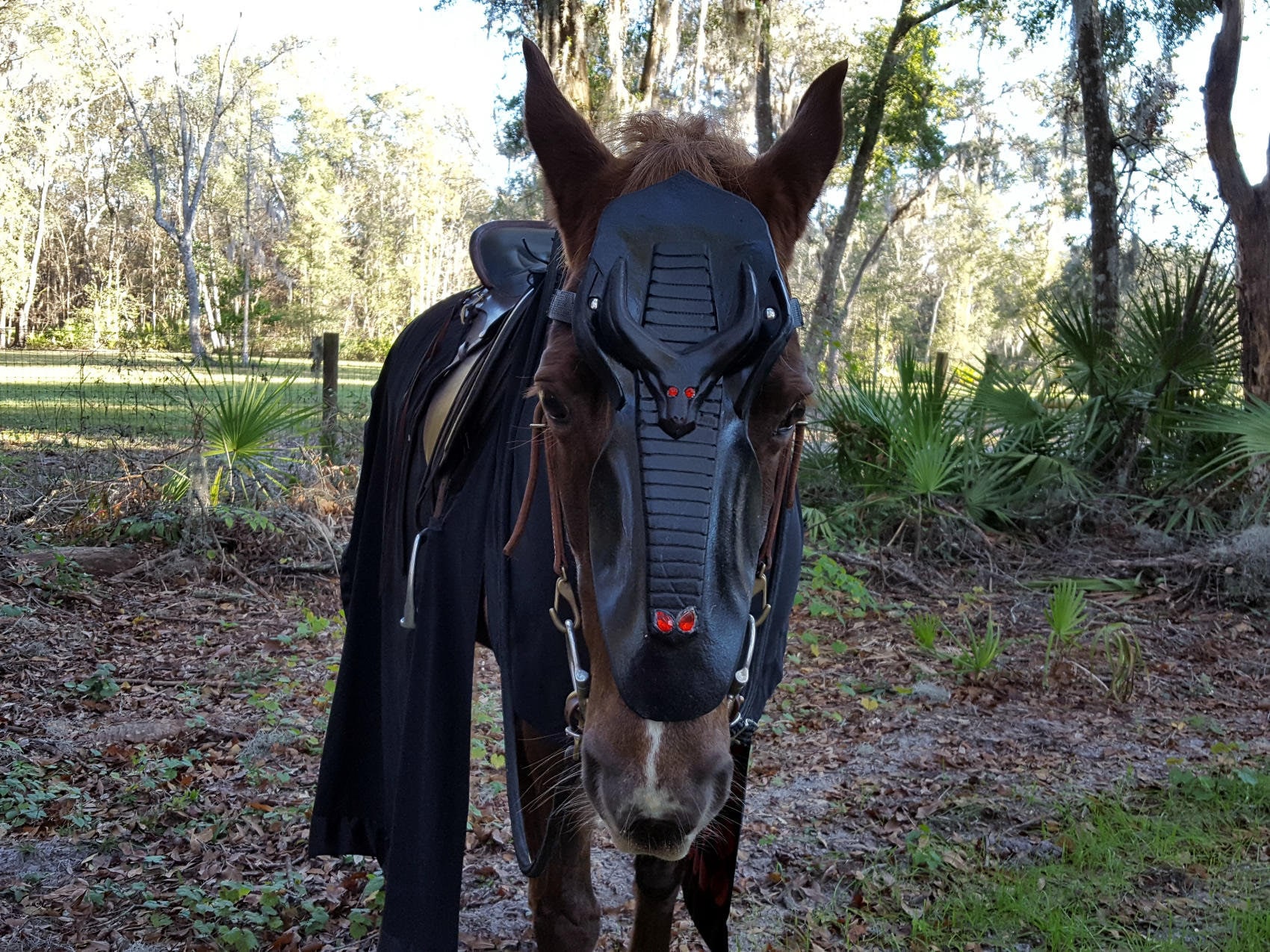 Dragon Warrior Horse Chanfron Face Armor Medieval Equine | Etsy Canada