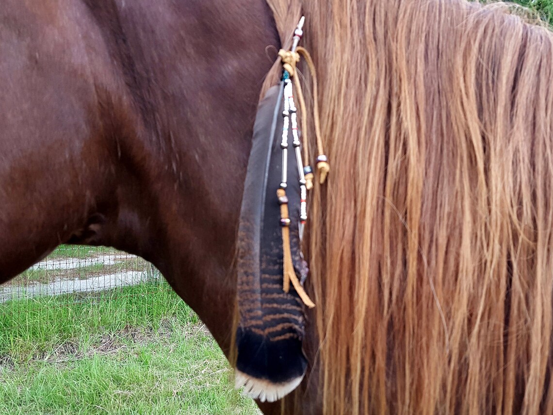 Arrowhead Coup Feather Equine Mane Tail or Hair Ornament | Etsy
