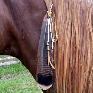Arrowhead Coup Feather Equine Mane, Tail or Hair Ornament Feather Horse ...