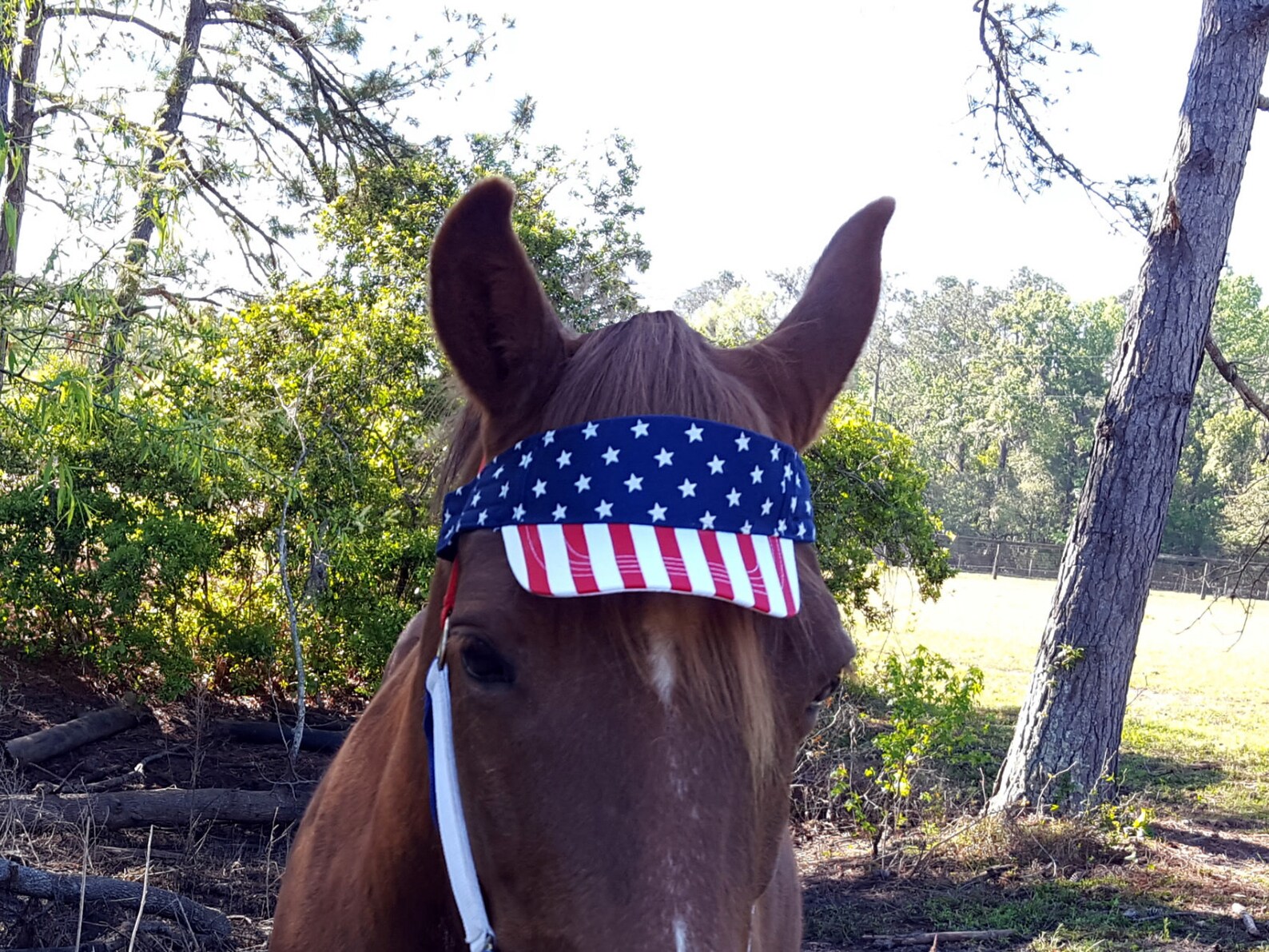Patriotic Equine Visor Cap Red White Blue Horse Brow Band - Etsy
