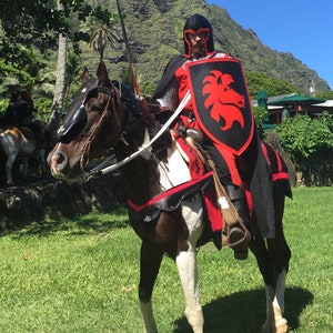 Destrier Horse Costume Medieval Barding Costume Equine Jousting ...