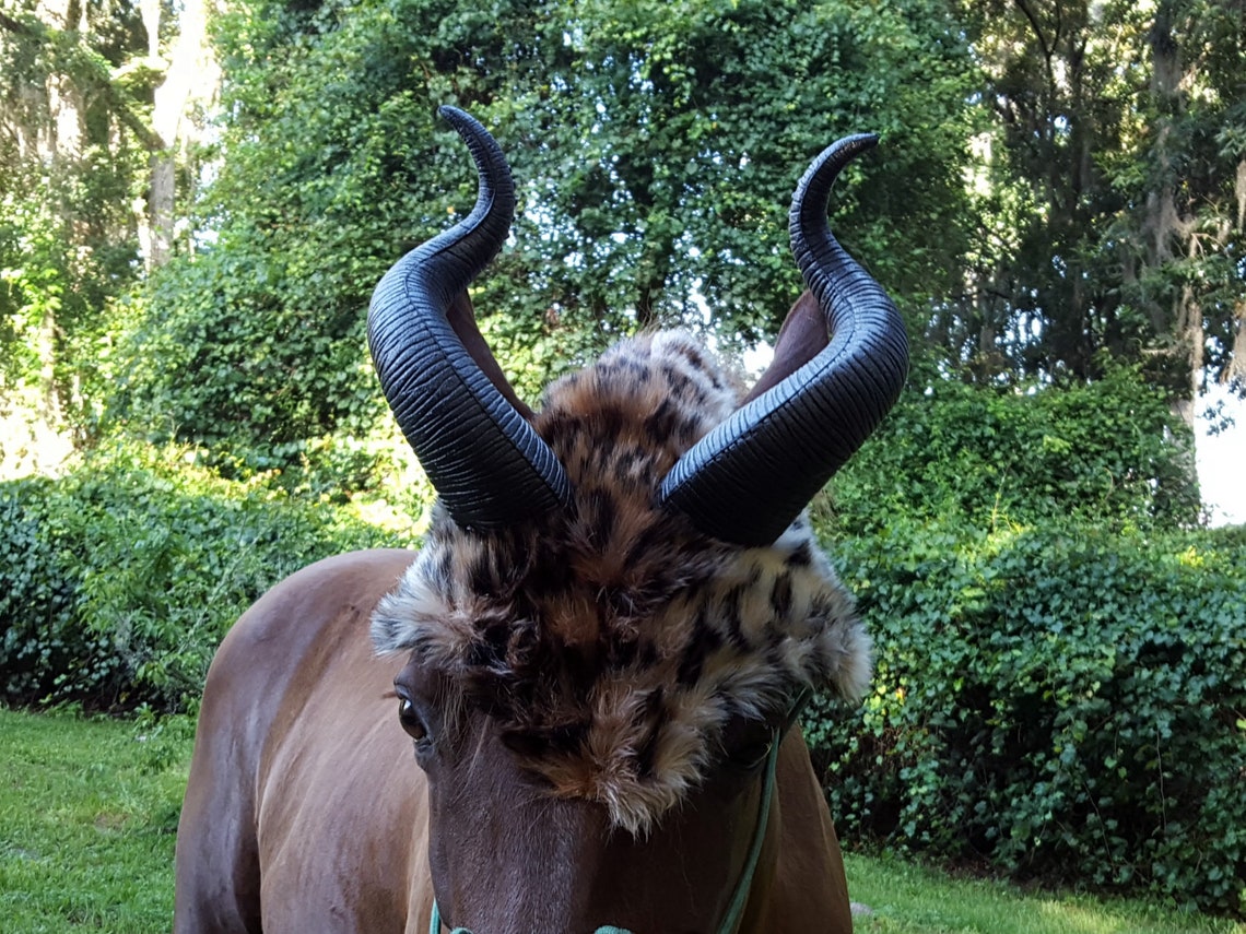 Rare Mutant Addax Horse Horns Hat Antelope Horns for Horse - Etsy