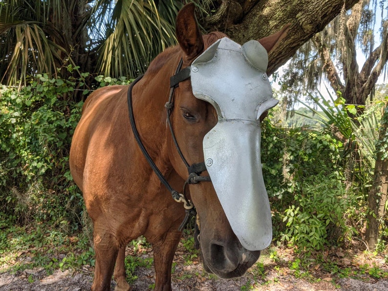 Joan of Arc Chanfron Horse Face Armor With Ear and Eye Guards | Etsy