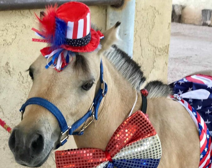 Uncle Sam Patriotic Fascinator Mini Top Hat for Horses or Minis Equine ...