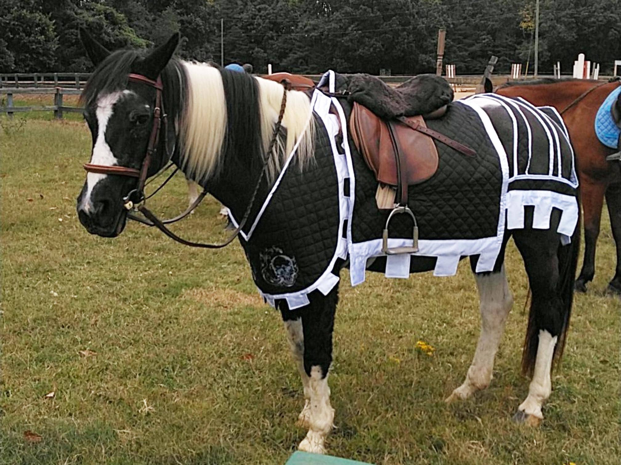 Medieval War Horse Tack