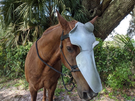 Joan of Arc Chanfron Horse Face Armor With Ear and Eye Guards - Etsy