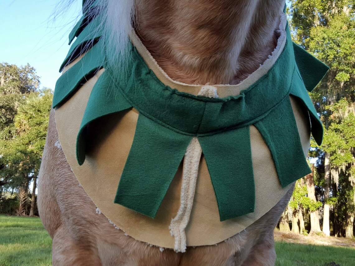 Elf or Robin Hood Costume for Horses Drafts Minis Ponies - Etsy