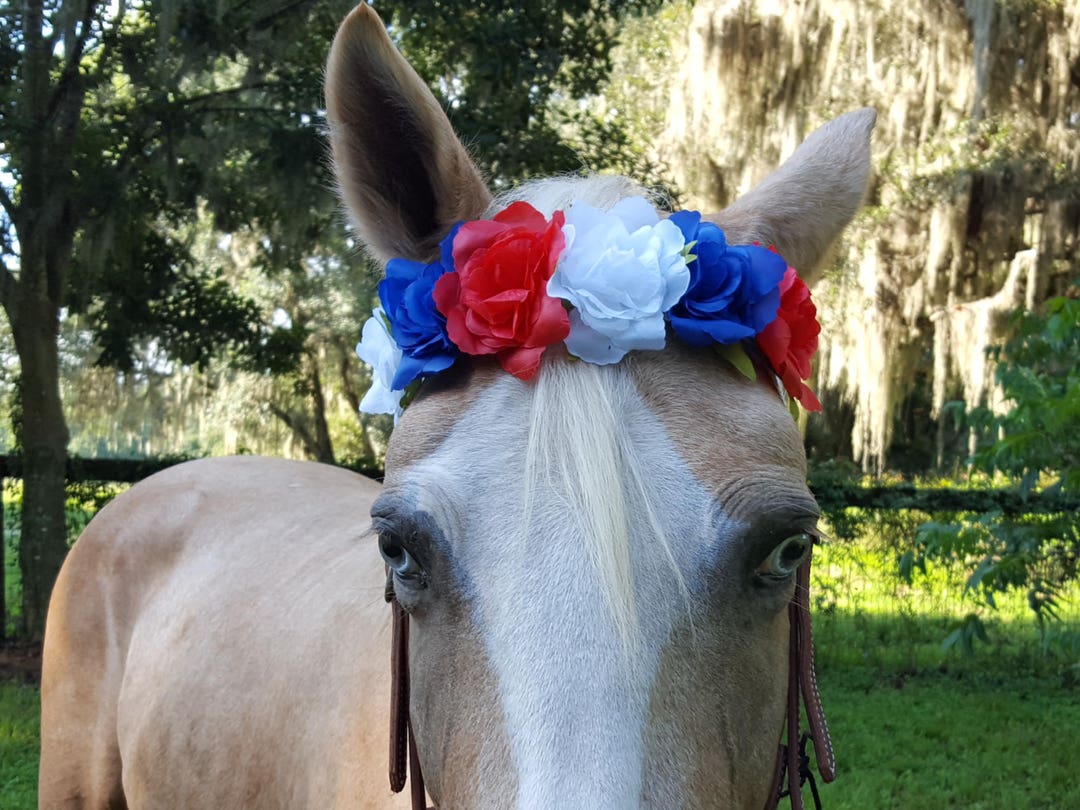 Flowered Equine Browband in 4 Color Combinations Draft, Horse, Pony or ...