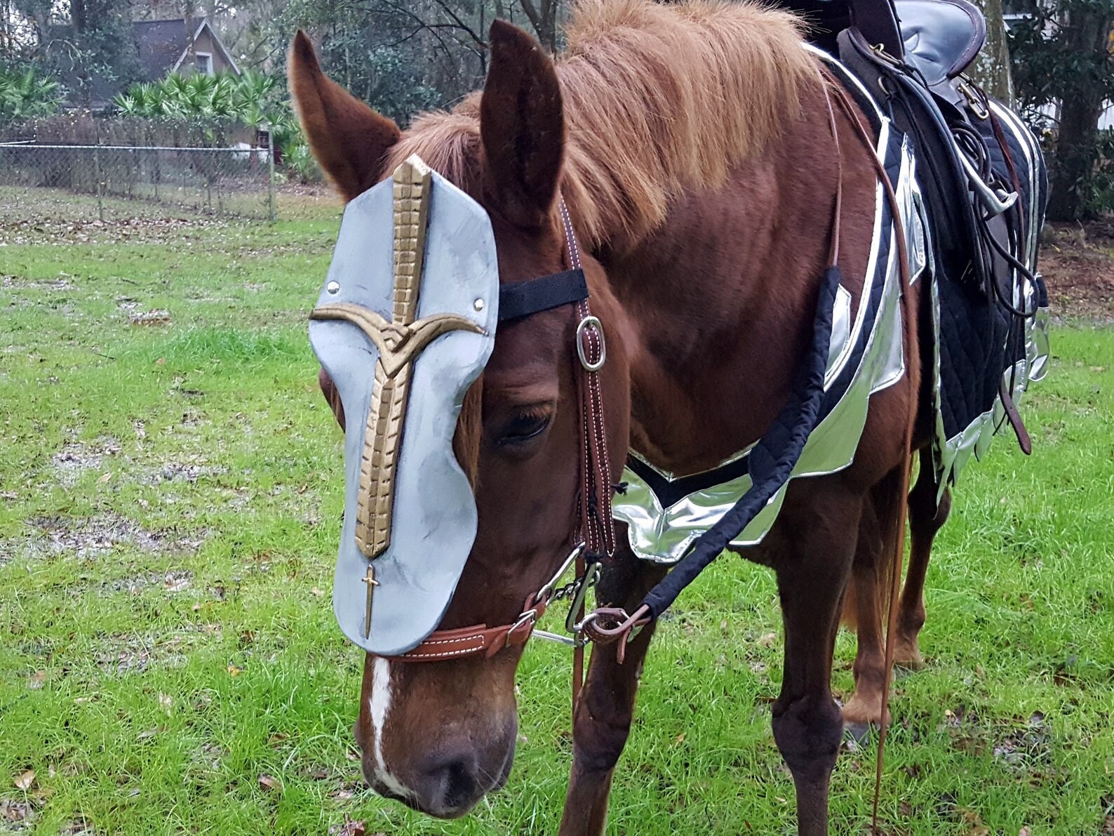 Roman Warrior Horse Chanfron Face Armor Medieval Equine - Etsy