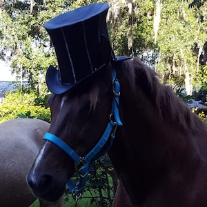 Coachman Top Hat for Horses Foam Equine Formal Hat for - Etsy