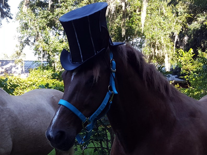 Coachman Top Hat for Horses Foam Equine Formal Hat for | Etsy
