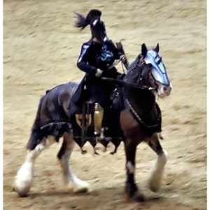 Destrier Horse Costume Medieval Barding Costume Equine Jousting ...