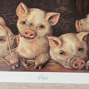VINTAGE PRINT Piglets in Barn Window- Loose Lithograph 8 X 14 Image on ...