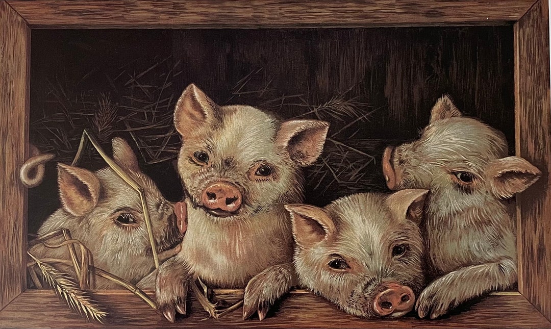 VINTAGE PRINT Piglets in Barn Window- Loose Lithograph 8 X 14 Image on ...