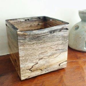 Live Edge Spalted Mango Keepsake Box accented with worm | Etsy