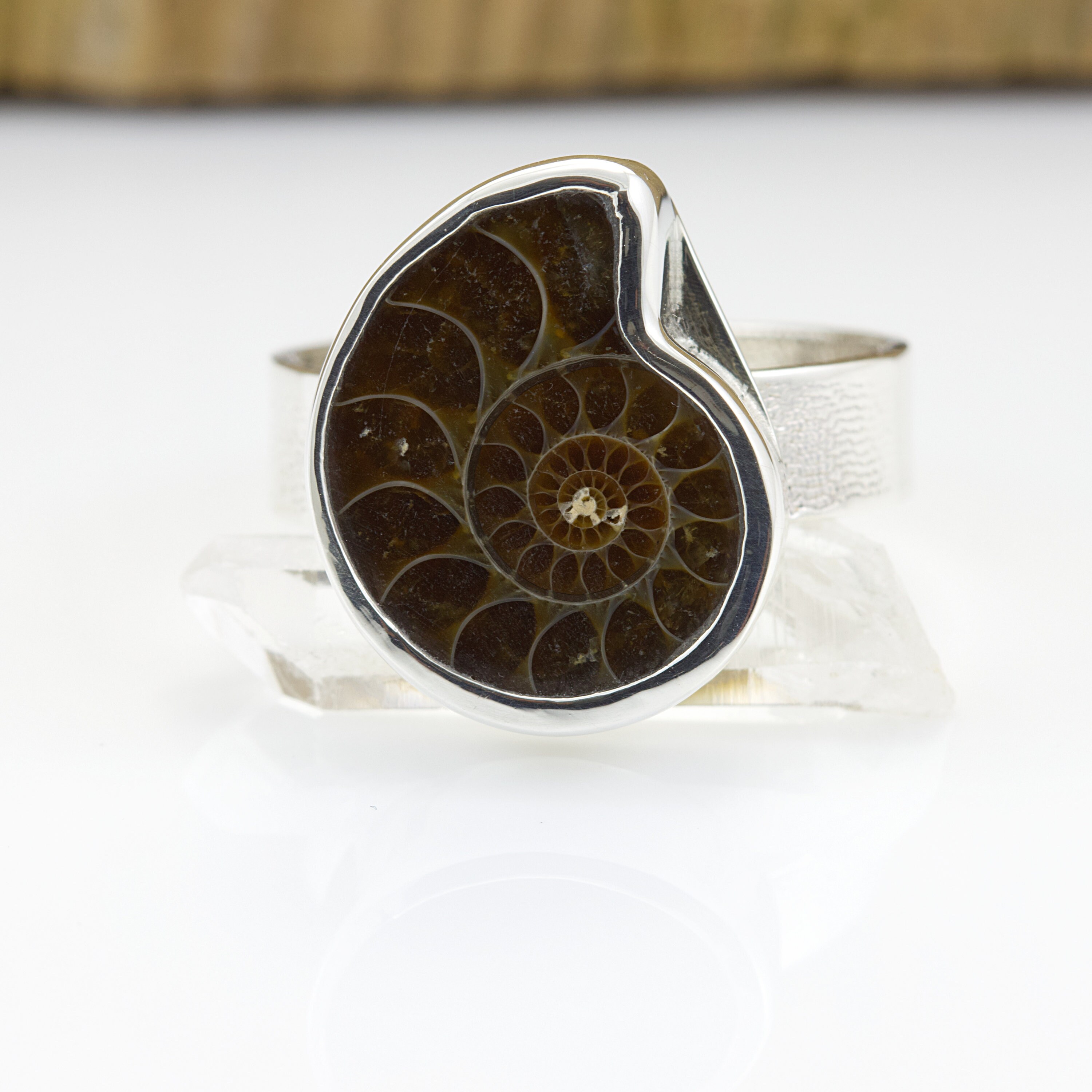Ammonite Ring Sterling Silver Natural Stone Fossil | Etsy