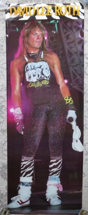 Vintage David Lee Roth 1996 26 X 71 Door Poster Unused & Sealed Van ...