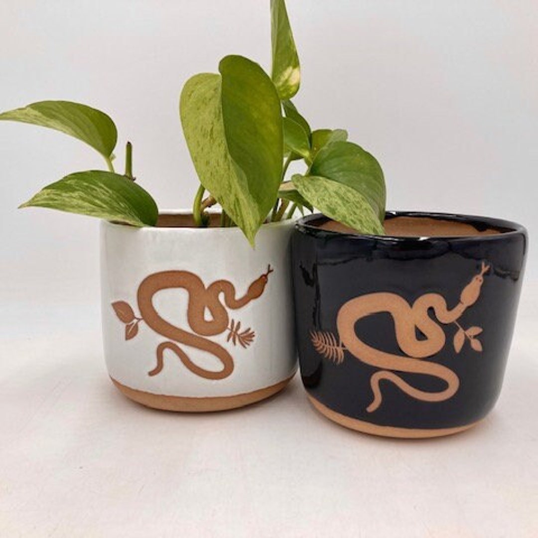 Snake & Botanical Ceramic Plant Pot/planter, 4 SIZES - Etsy