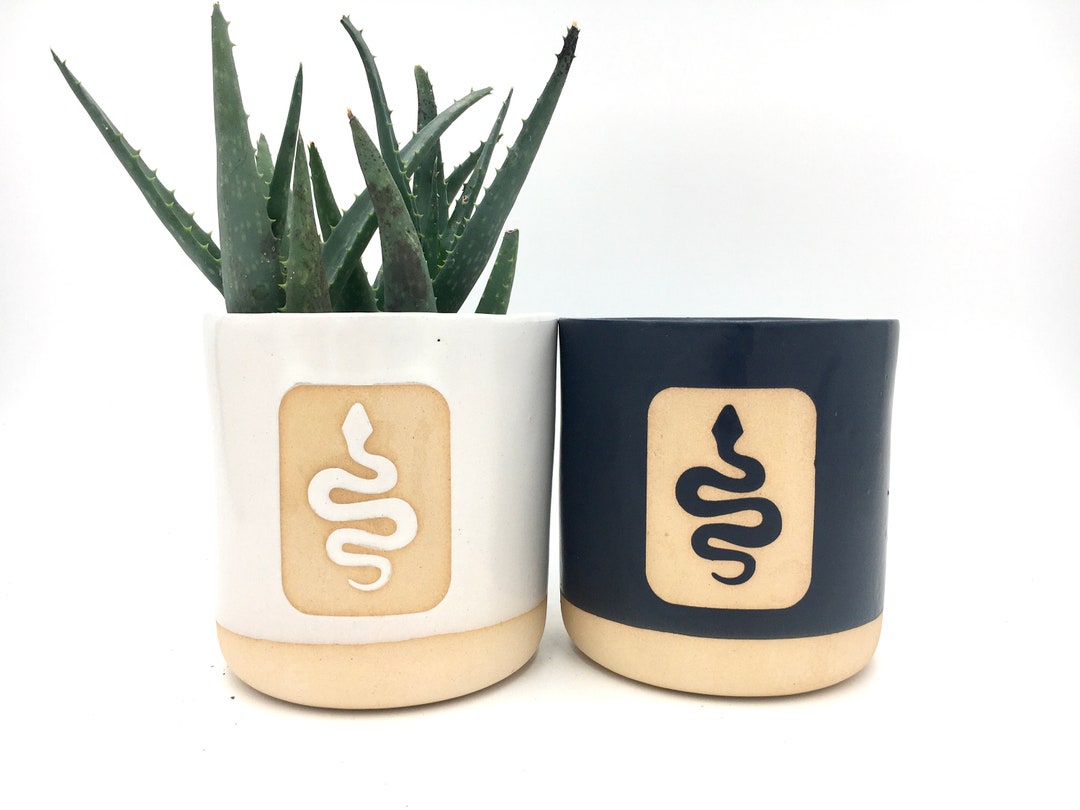 Ceramic Snake Plant Pot/planter, 4 Sizes - Etsy