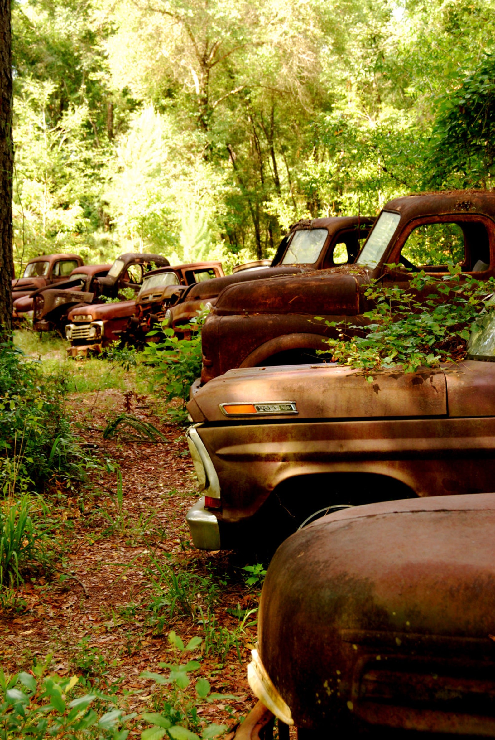 Vintage Ford Trucks - Etsy