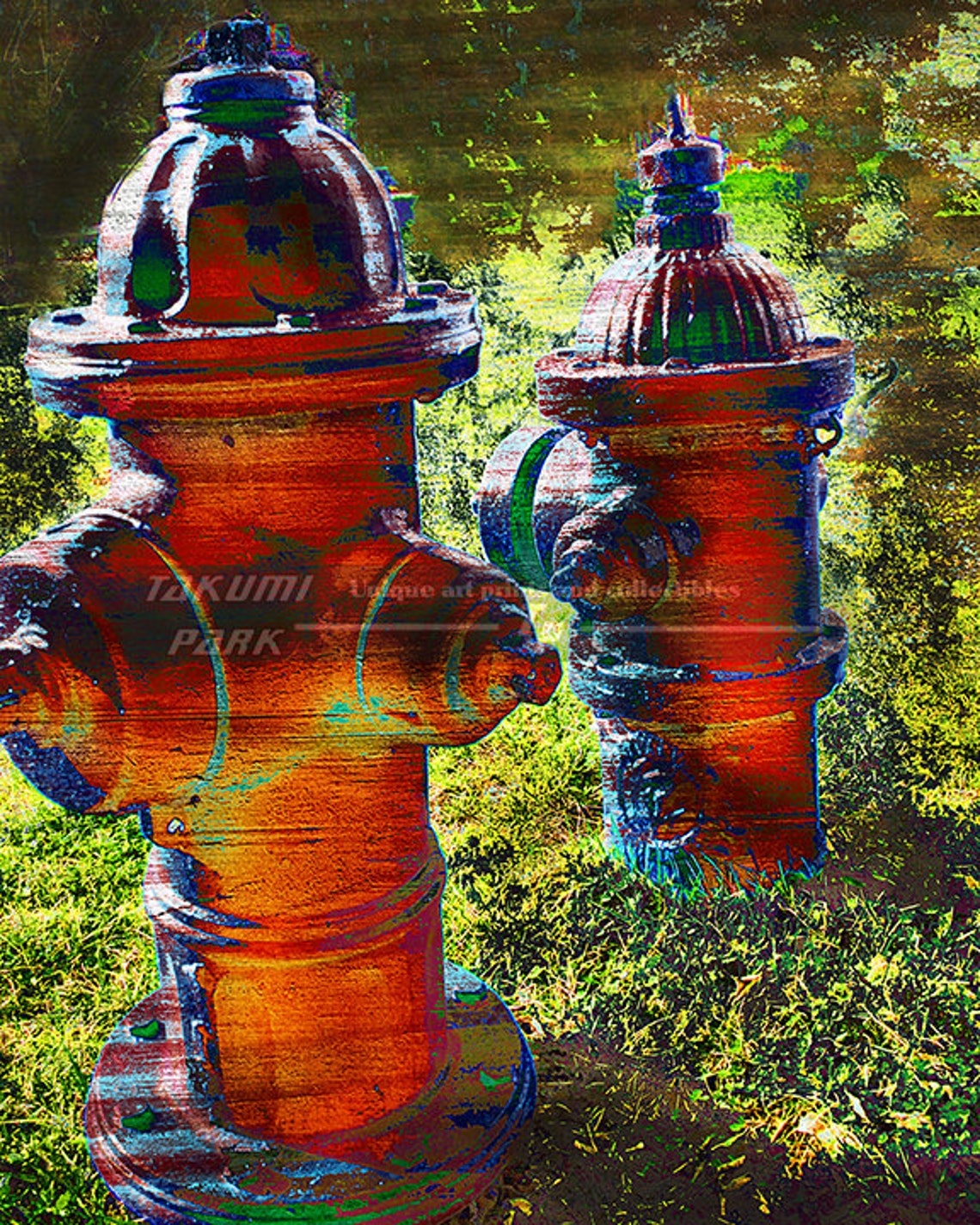 Colorful Fire Hydrant Art Gift for Firemen Modern Art Print - Etsy