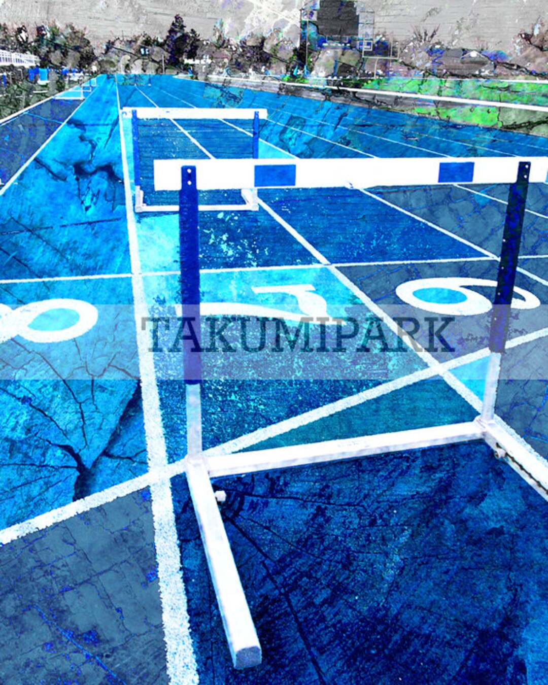 Gift for Hurdlers, Track Hurdles Art Print, Track and Field Art, Sports ...