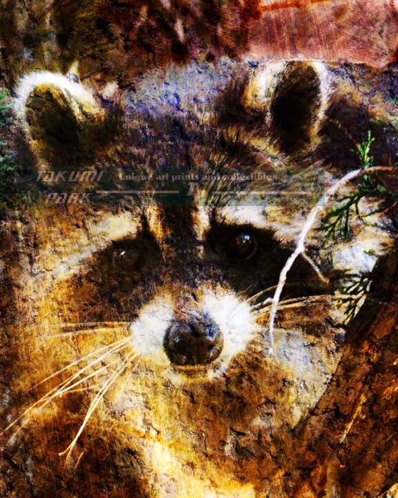 Raccoon Art Print, Nature Art, Woodland Creatures, Animal Wall Art ...