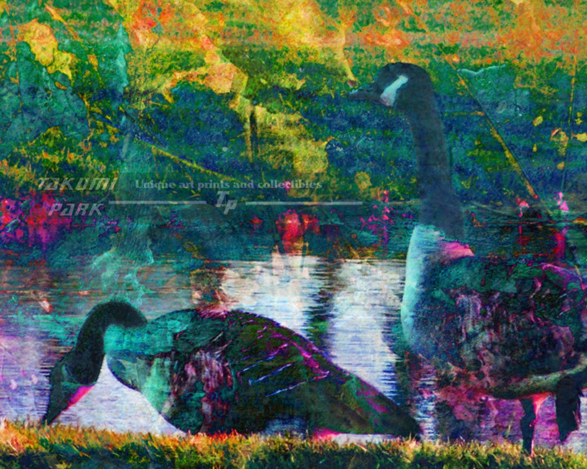 Modern Duck Decor Animal Wall Art Print Living Room Wall - Etsy