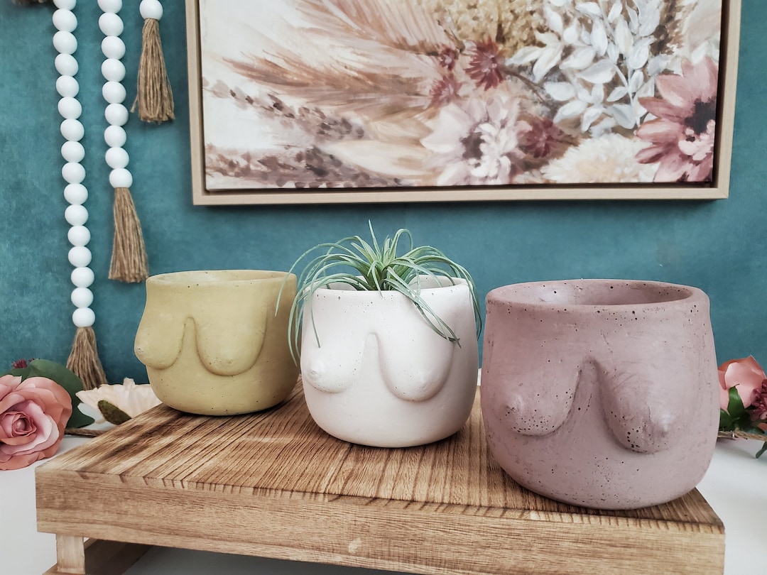 Titty Pot Booby Gift Planter Concrete Plant Pot With Drainage - BOHO - Modern Planter - Unique ...