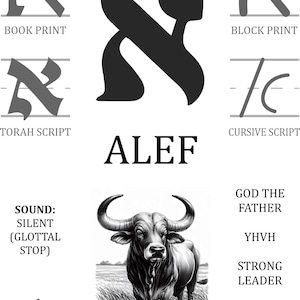 Hebrew Alphabet Flashcards - Etsy