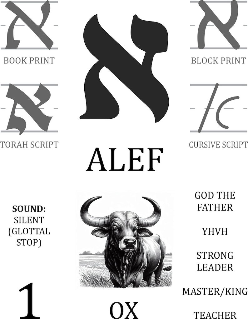 Hebrew Alphabet Flashcards - Etsy