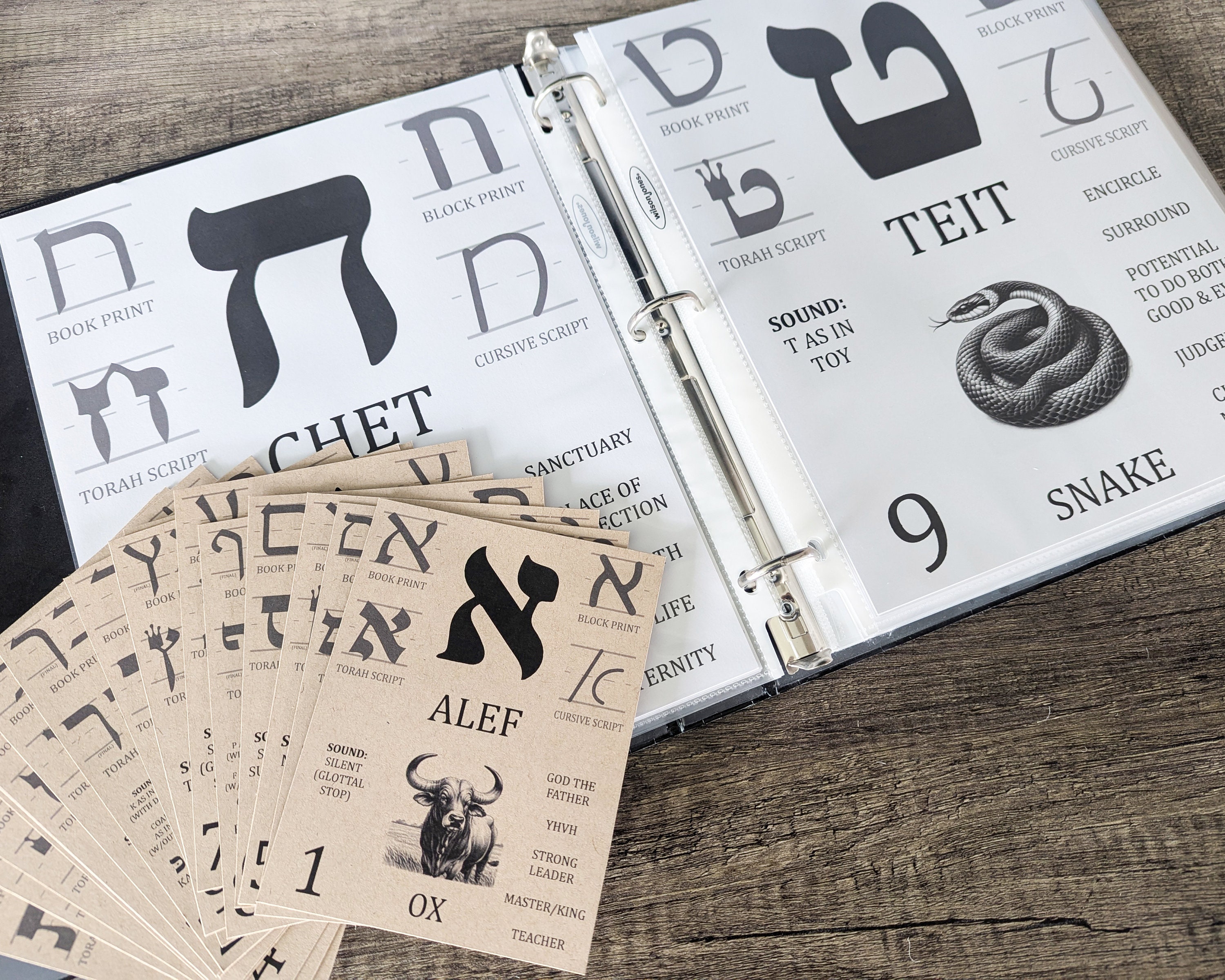 Hebrew Alphabet Flashcards - Etsy