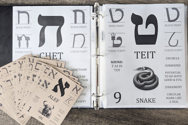 Hebrew Alphabet Flashcards - Etsy