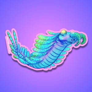 Anomalocaris / Handmade Vinyl Sticker / Abnormal Shrimp Cambrian ...